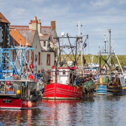 Eyemouth Town Trail | History and Stories from Eyemouth
